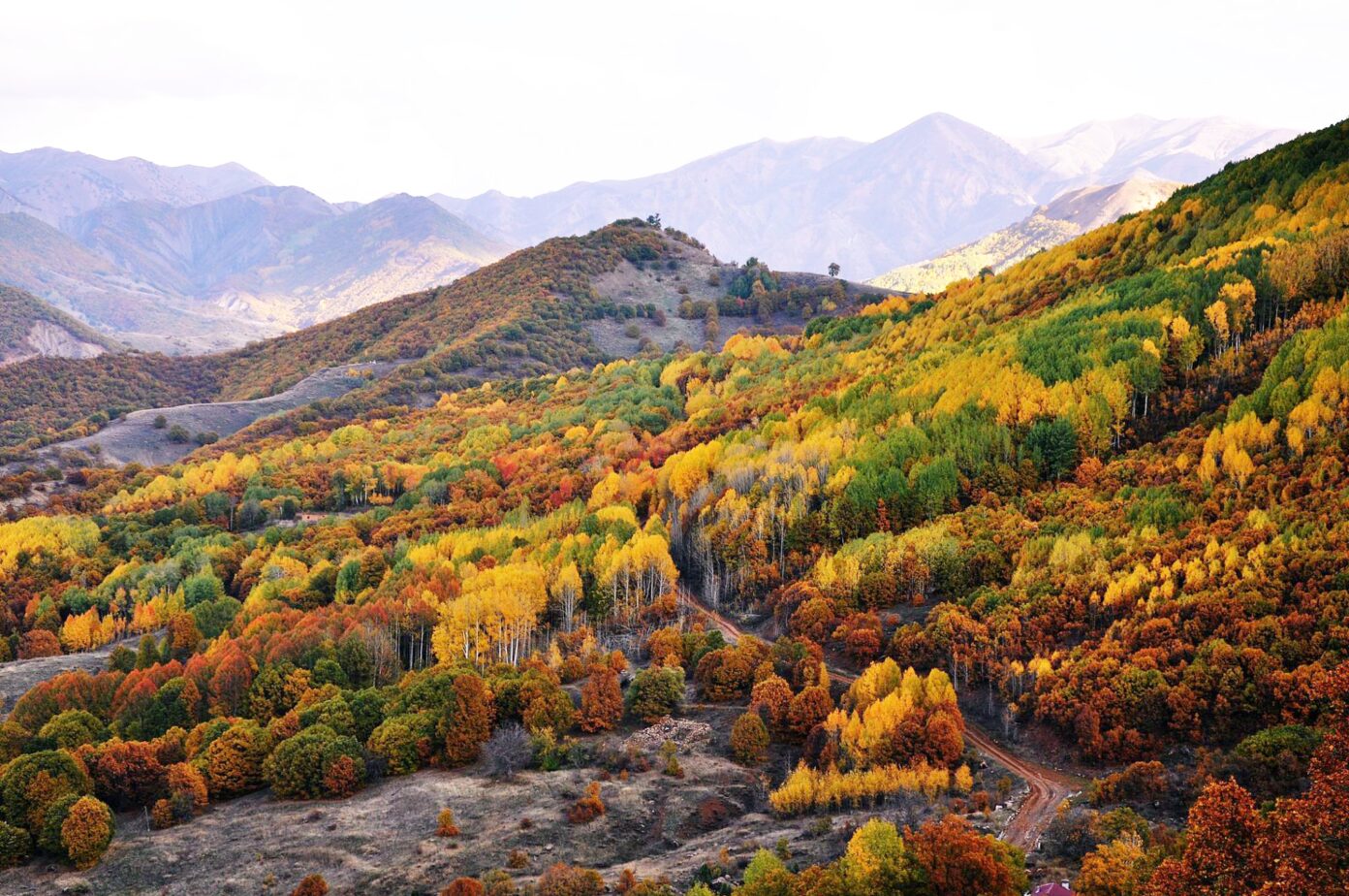 Dil her dem payîz e | Xwebûn